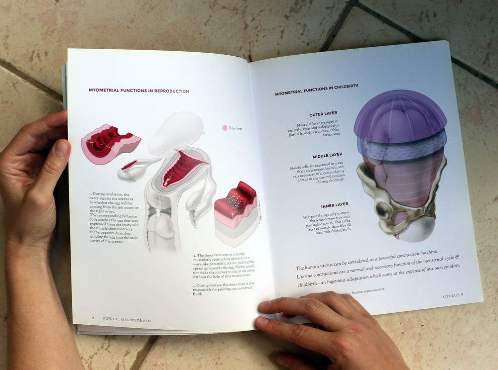 Uterus, a new perspective on Amazon!