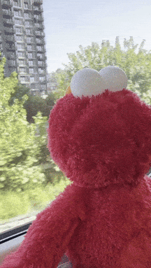 Why Meetings Need ELMO | Kinkajou