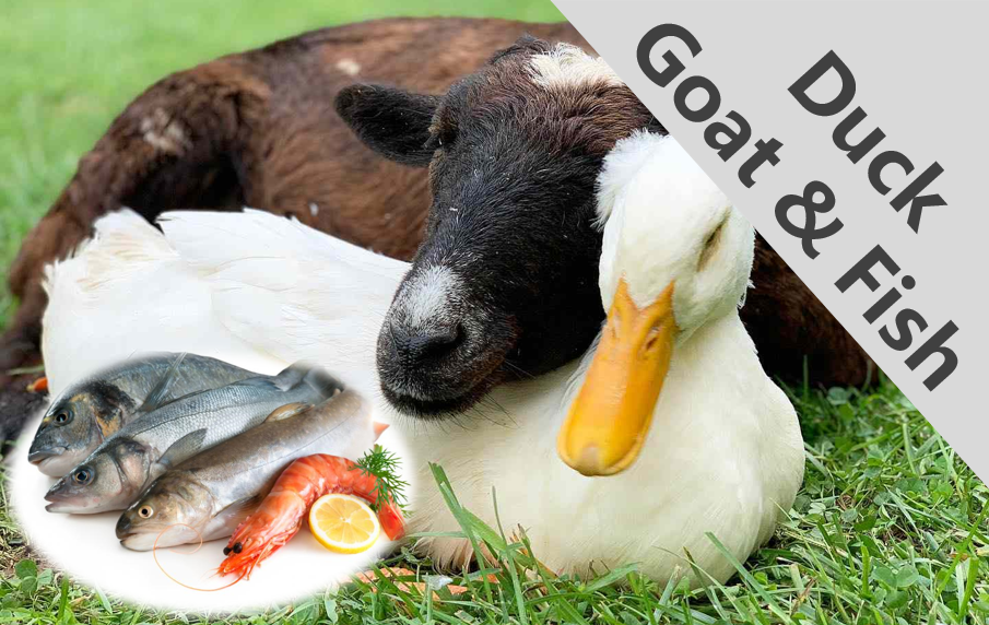 Yes!Halal | Online Halal Mart in Korea - Home Page