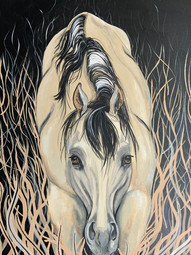 Home | Dianebrayfineart