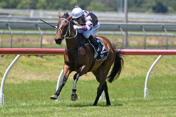 New chapter for Horace