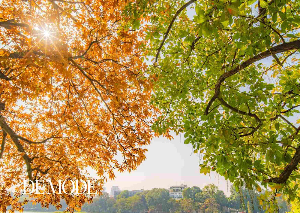 CAPTURING THE CHANGING SEASONS THROUGH PHOTOGRAPHY