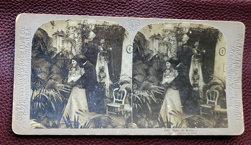 1898 C.H. Graves Stereoview Risque Victorian Under The Mistoe | Stars ...