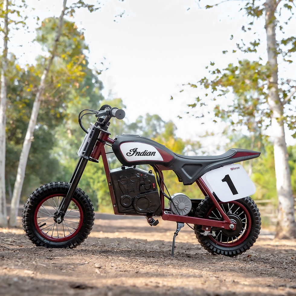 Indian Motorcycle Gets Into Kids Bikes With eFTR Mini