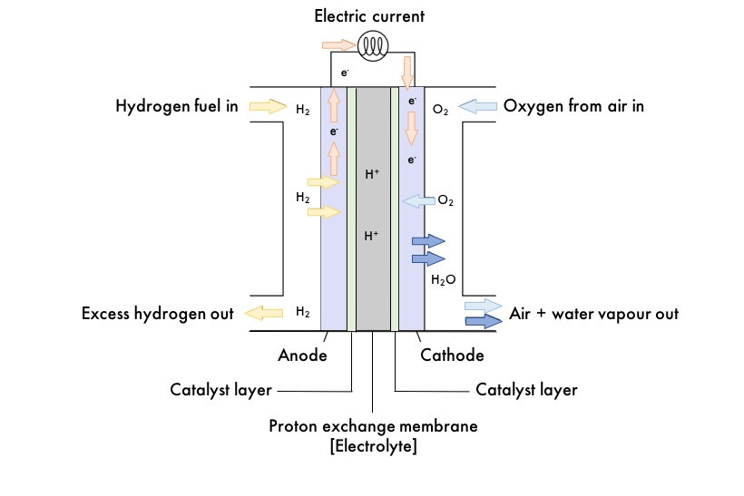 Hydrogen Fuel Cells | Lipmann Walton & Co