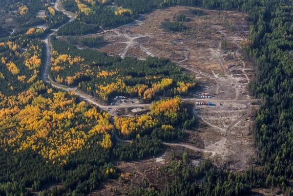 Kinross Gold Advances Great Bear Project with Key Milestones