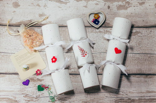 Plant your own - single cracker | Ecomagpie