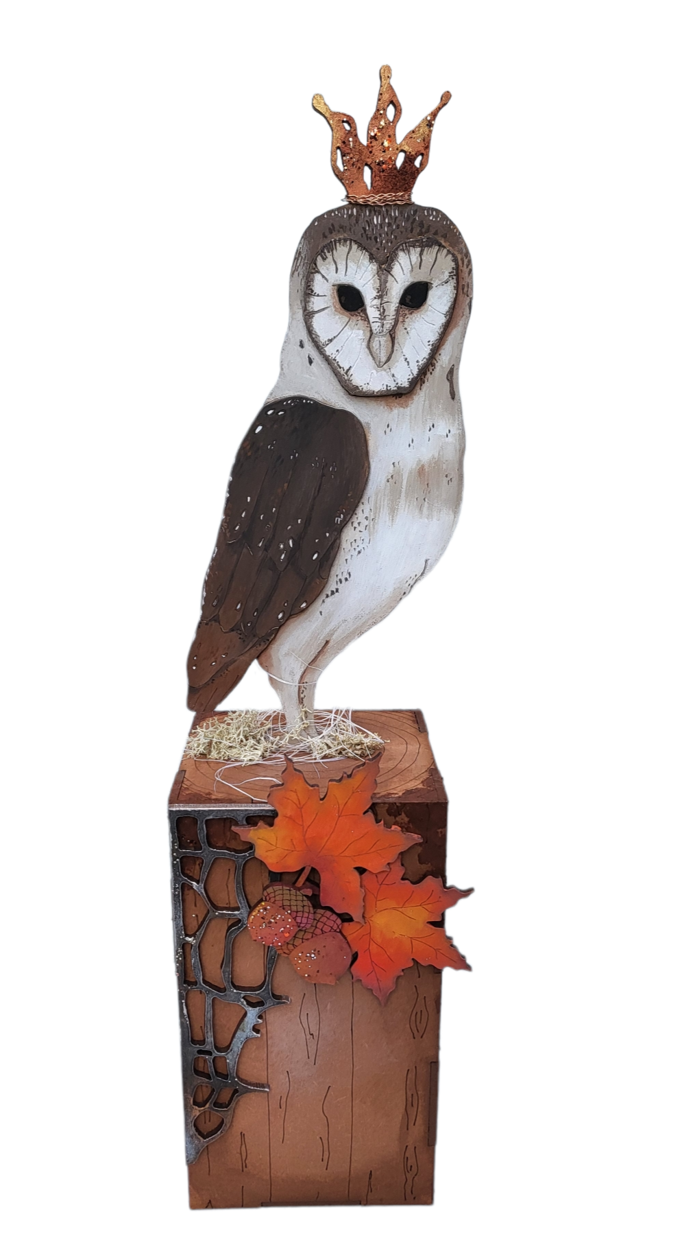 barn-owl-kit