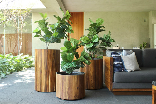 Maceta Redonda de Parota Natural 40 | Deconcepto