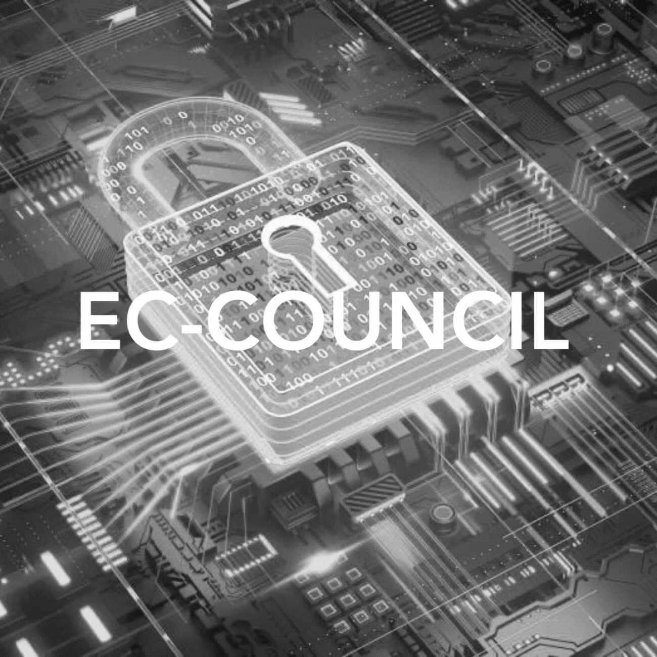 EC-Council Training | Renaissance It Train