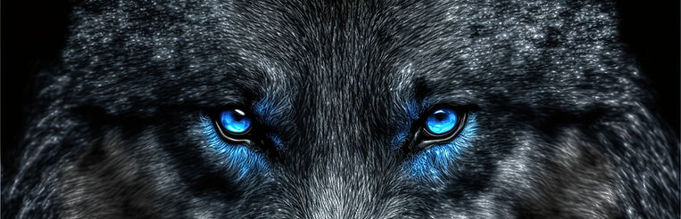 Blue Wolf | IR Lighting | Military Infrared