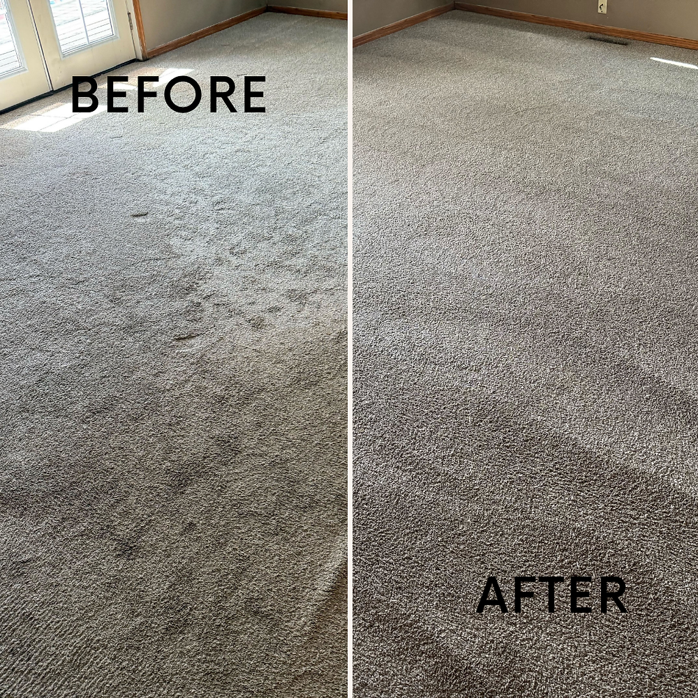 A simple carpet refresh can transform your space
