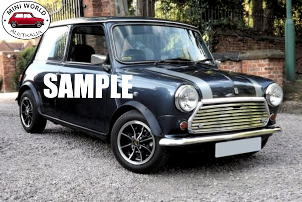 10" Wheel Rims | Mini World Australia