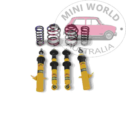 BMW Mini RSX Kit 03/02 cars on from chassis number TE02416 | Mini World ...