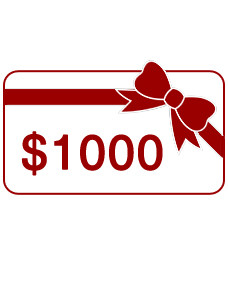 $1,000 Gift Certificate | Mini World Australia