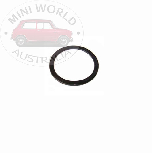 Timing chain tensioner ring | Mini World Australia
