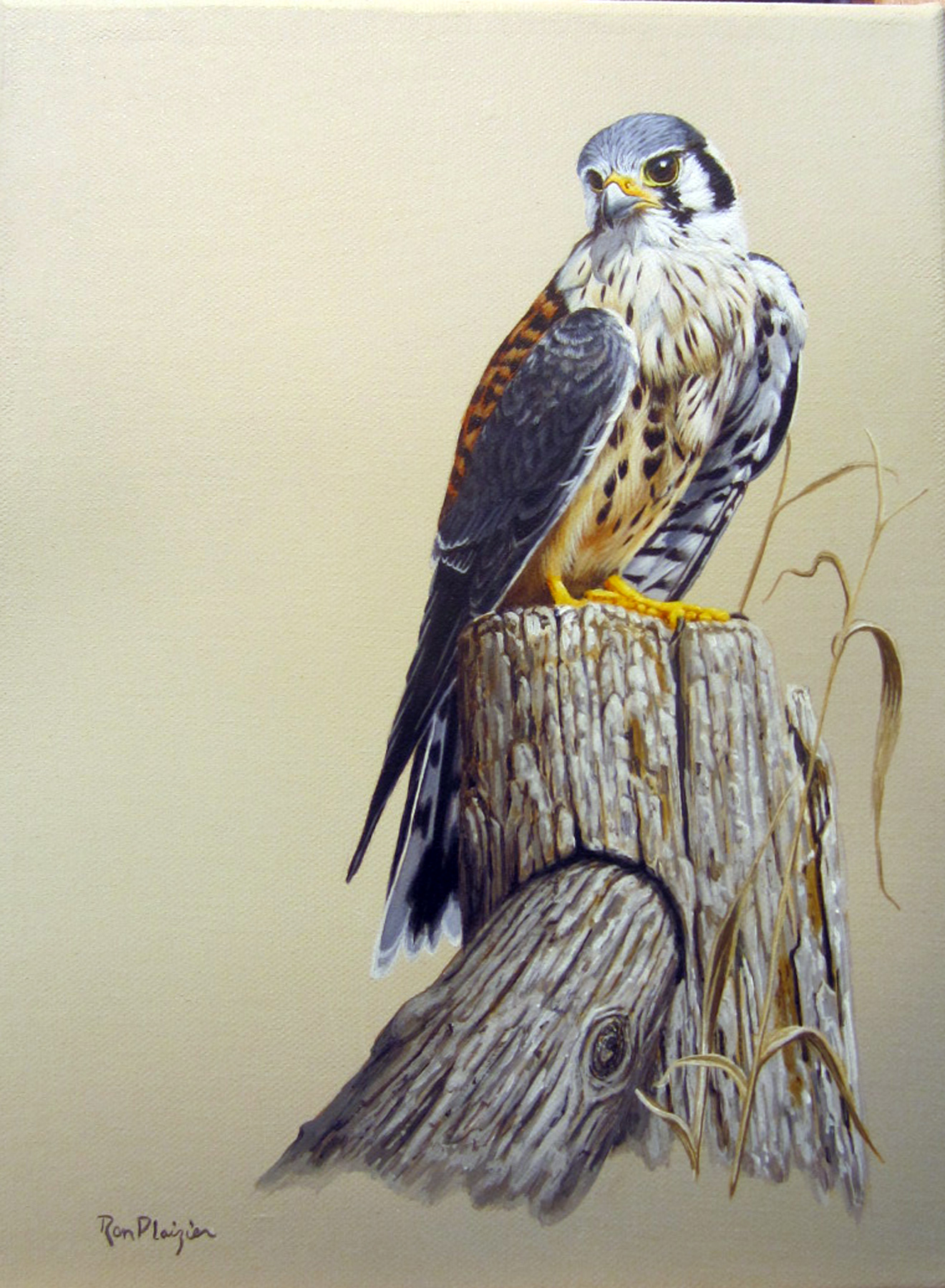 Wildlife Artist | Canada | Ron Plaizier - Wildlife Artist