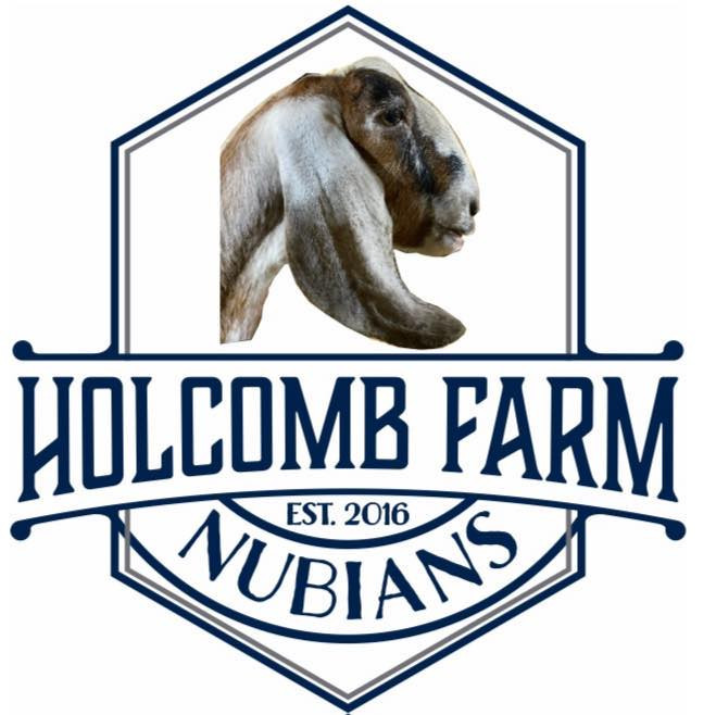 Senior Does | Holcomb Farm Nubians