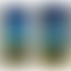 Blog - חדשות | Priganart | Israel