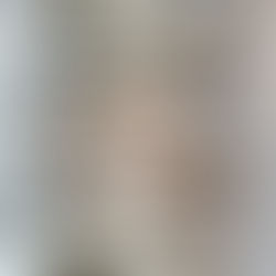 Blog - חדשות | Priganart | Israel