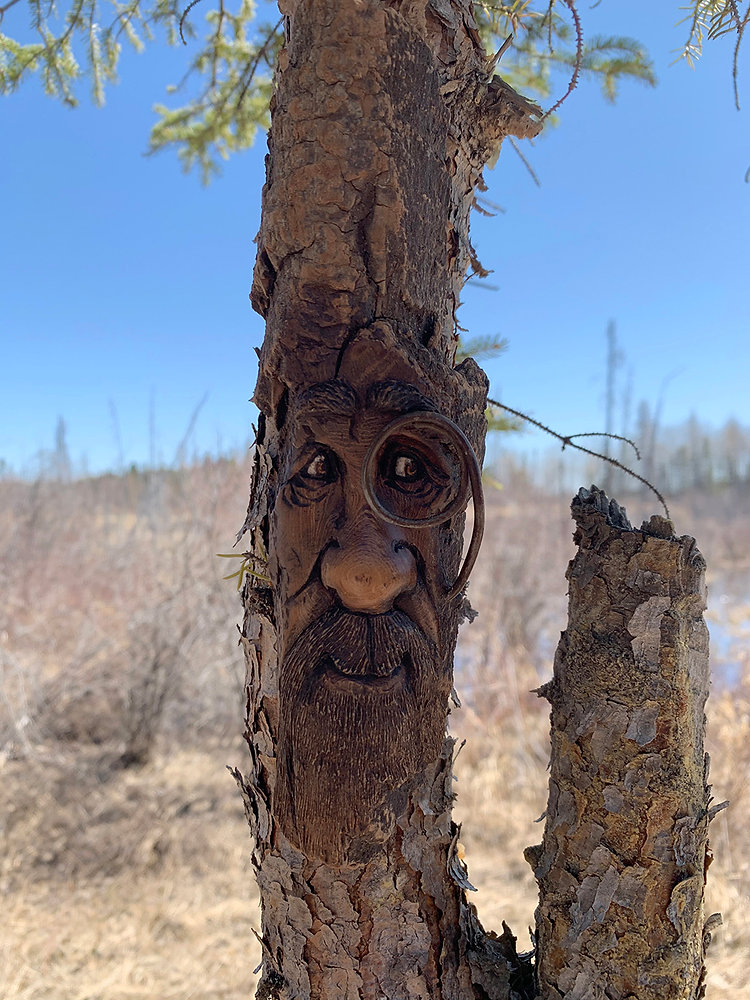 NEW FACES IN THE FOREST!
