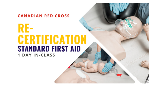 Standard First Aid & CPR Recertification | push-for-life