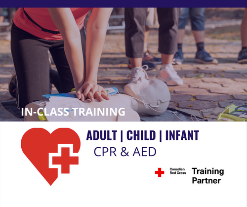 CPR Level 'C' Certification Course Dates & Registration | push-for-life