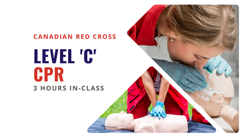CPR Level 'C' Certification/Recertification | push-for-life