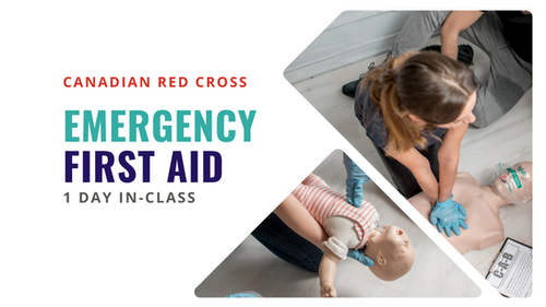 Emergency First Aid & Level 'C' CPR Certification | push-for-life