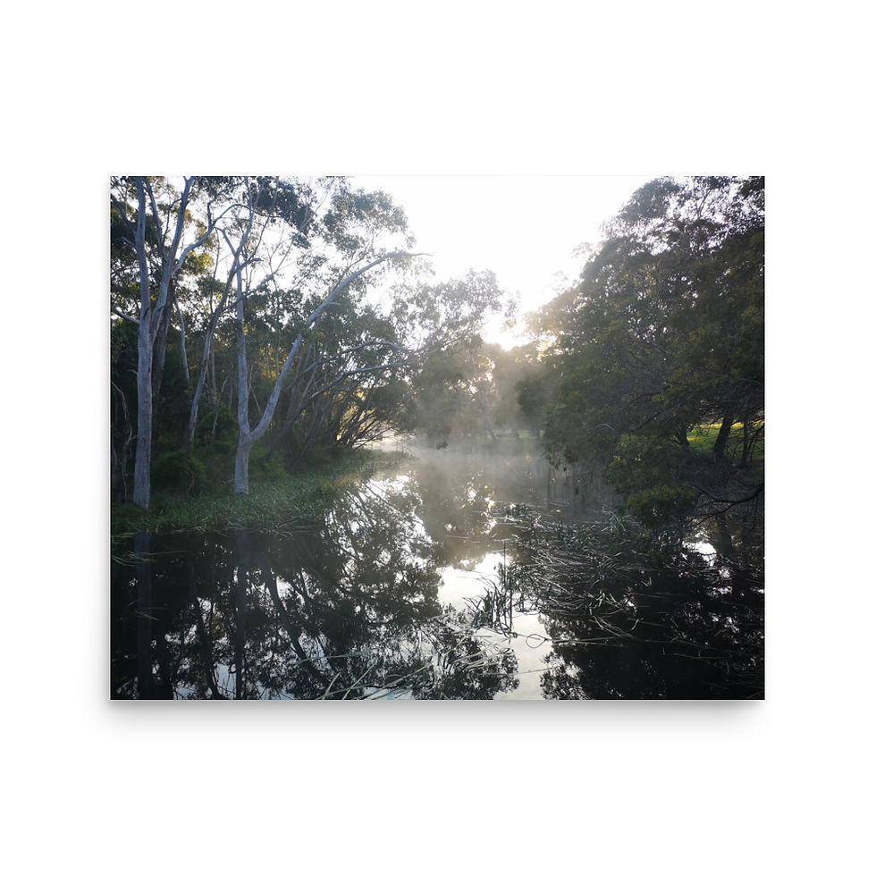 New Neighbours : Early Winter Matte Print | Spring Valley Media