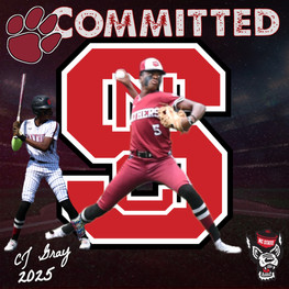 Panthers Baseball Club