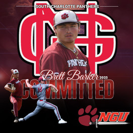 Panthers Baseball Club