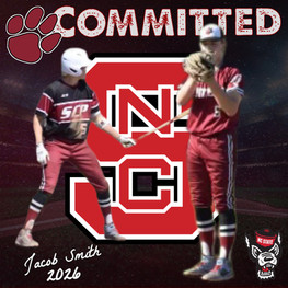 Panthers Baseball Club