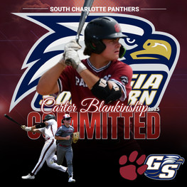 Panthers Baseball Club