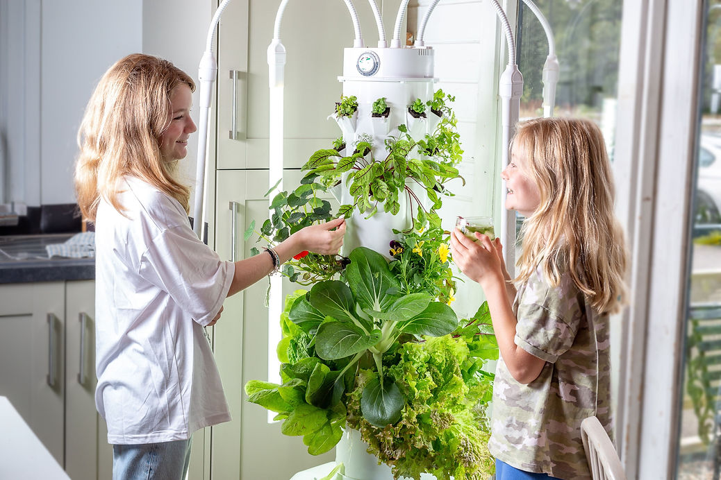 Heritage seedling production | Www.seedleaves.com | Grayshott