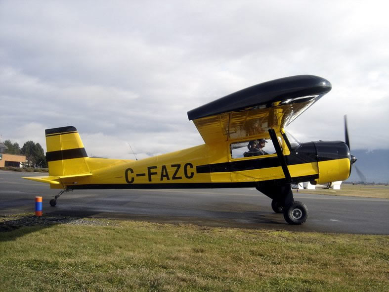 Monoplanes With Radial Engines