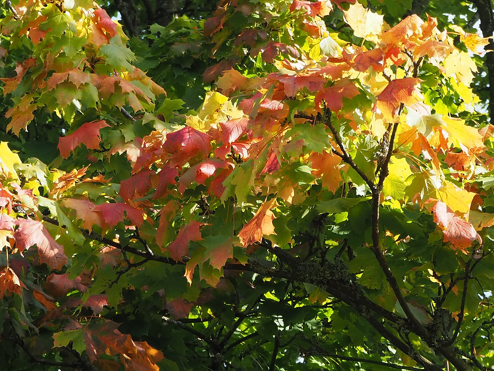 Change is all around us