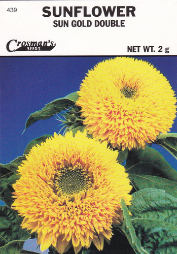 Sunflower Sun Gold Double | Crosman Seed Corp