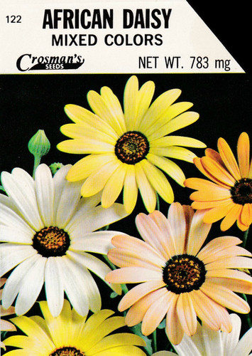African Daisy Mixed Colors | Crosman Seed Corp