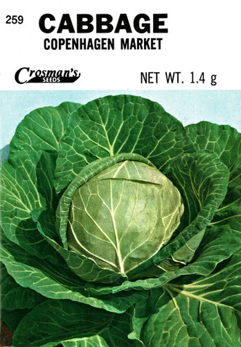 259 Cabbage Copenhagen Market | Crosman Seed Corp