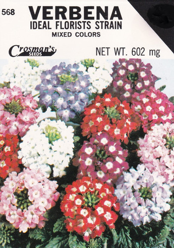 Verbena Ideal Florists Strain Mixed Colors | Crosman Seed Corp