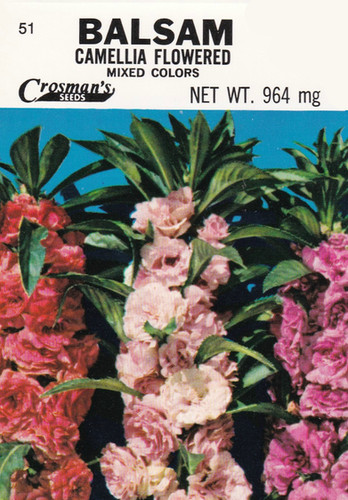 Balsam Camellia Flowered Mixed Colors | Crosman Seed Corp
