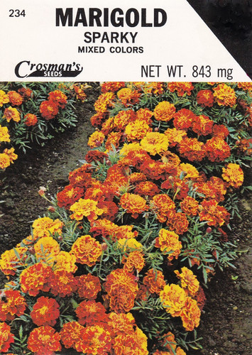Marigold: Sparky Mixed Colors | Crosman Seed Corp