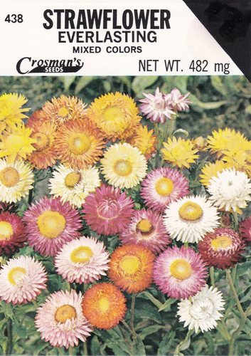 Strawflower Everlasting Mixed Colors | Crosman Seed Corp