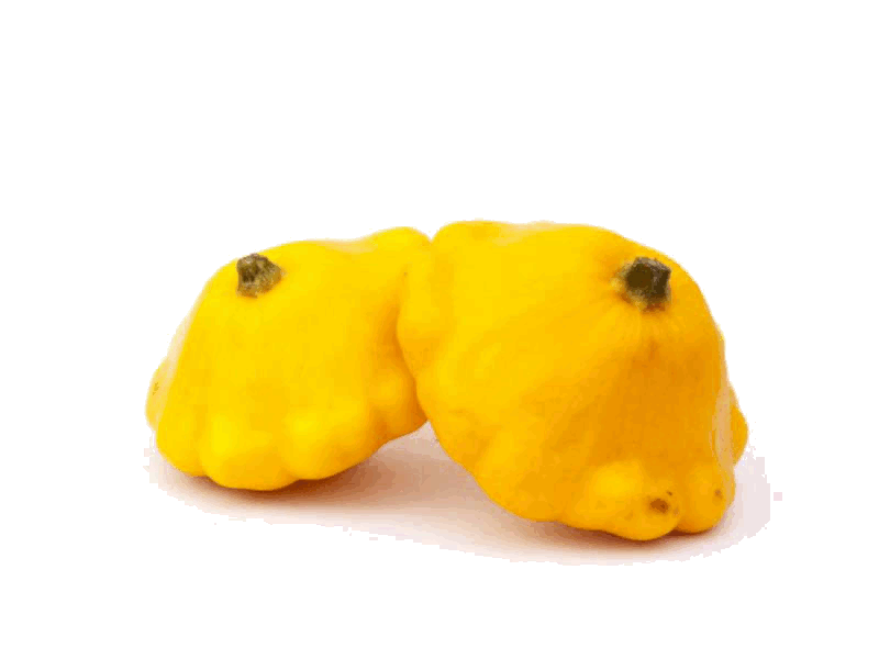 COURGE Pâtisson Orange | Cornucopia