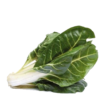 COTE DE BETTE verte à cardes blanches 2 | Cornucopia