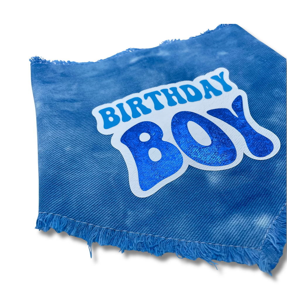 Dog Clothing | Hey Bert