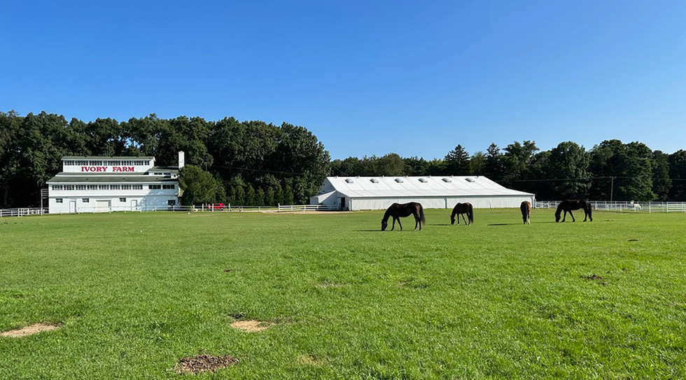 Ivory Farm | Gallery