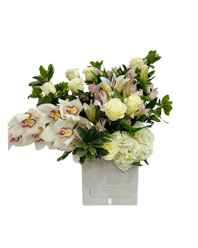 Flavious Bloom | brandsandvines