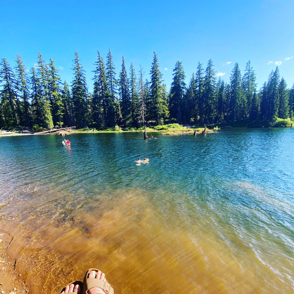 Rewilding in the Pacific Northwest